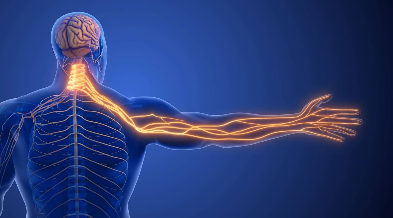 Peripheral Nerve Stimulation St Petersburg FL | FMPM | Pain Relief